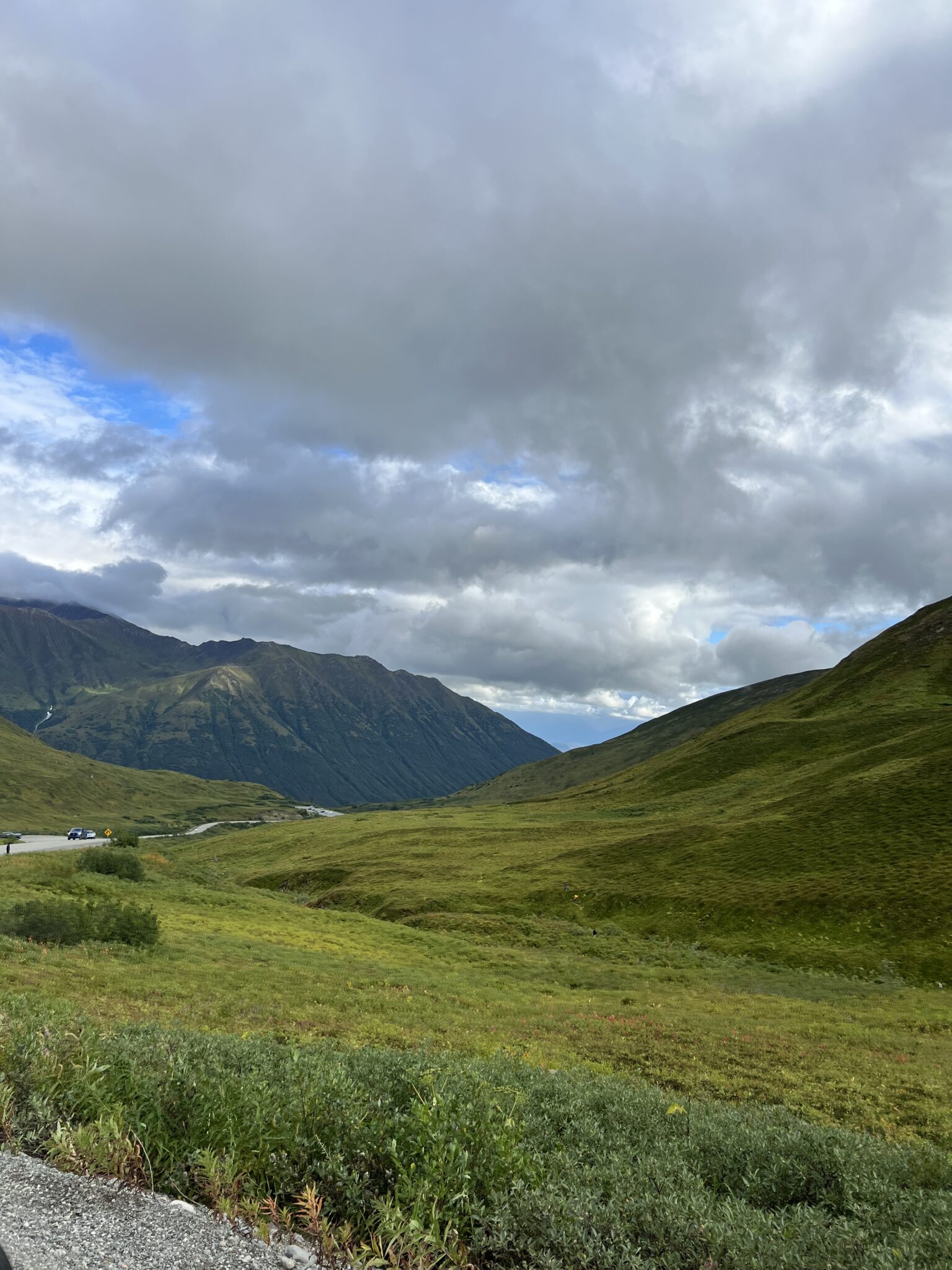 Hatcher Pass in Alaska: Blueberry Picking In The Fall – The Itinerant ...